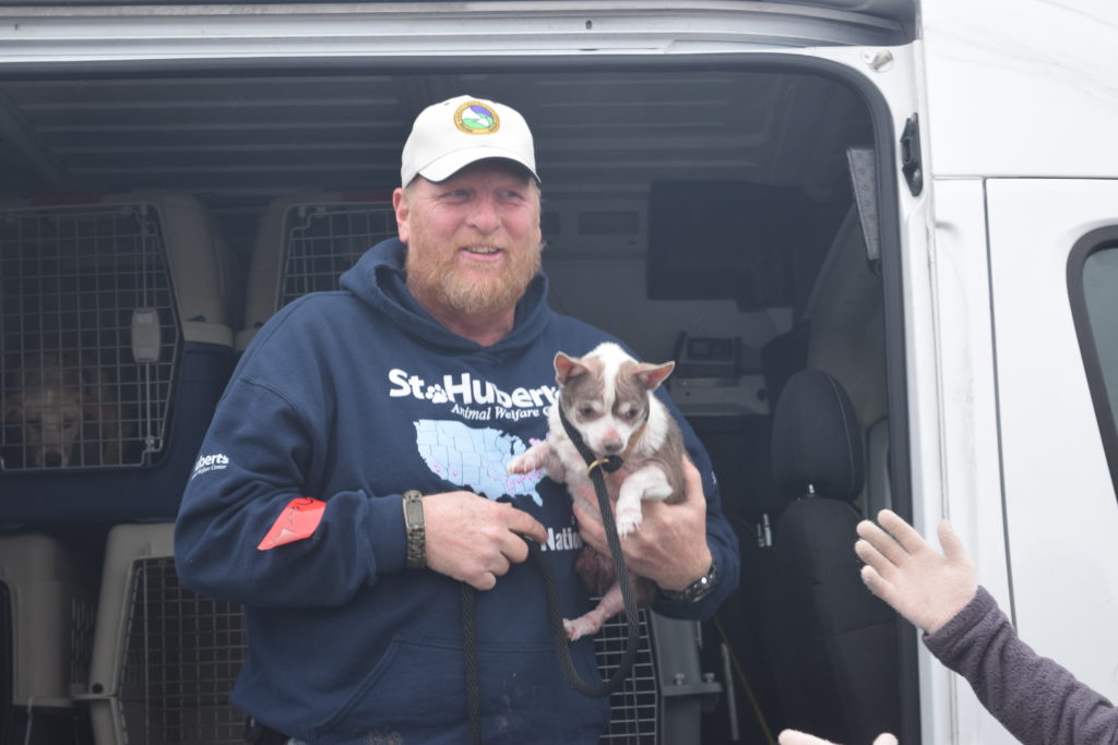 Our shelter animals - Owego Pennysaver Press