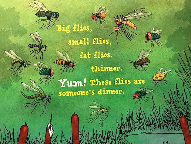 An insight into the insect world explained - Owego Pennysaver Press