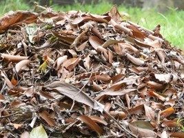 Brush drop off operating in Apalachin - Owego Pennysaver Press