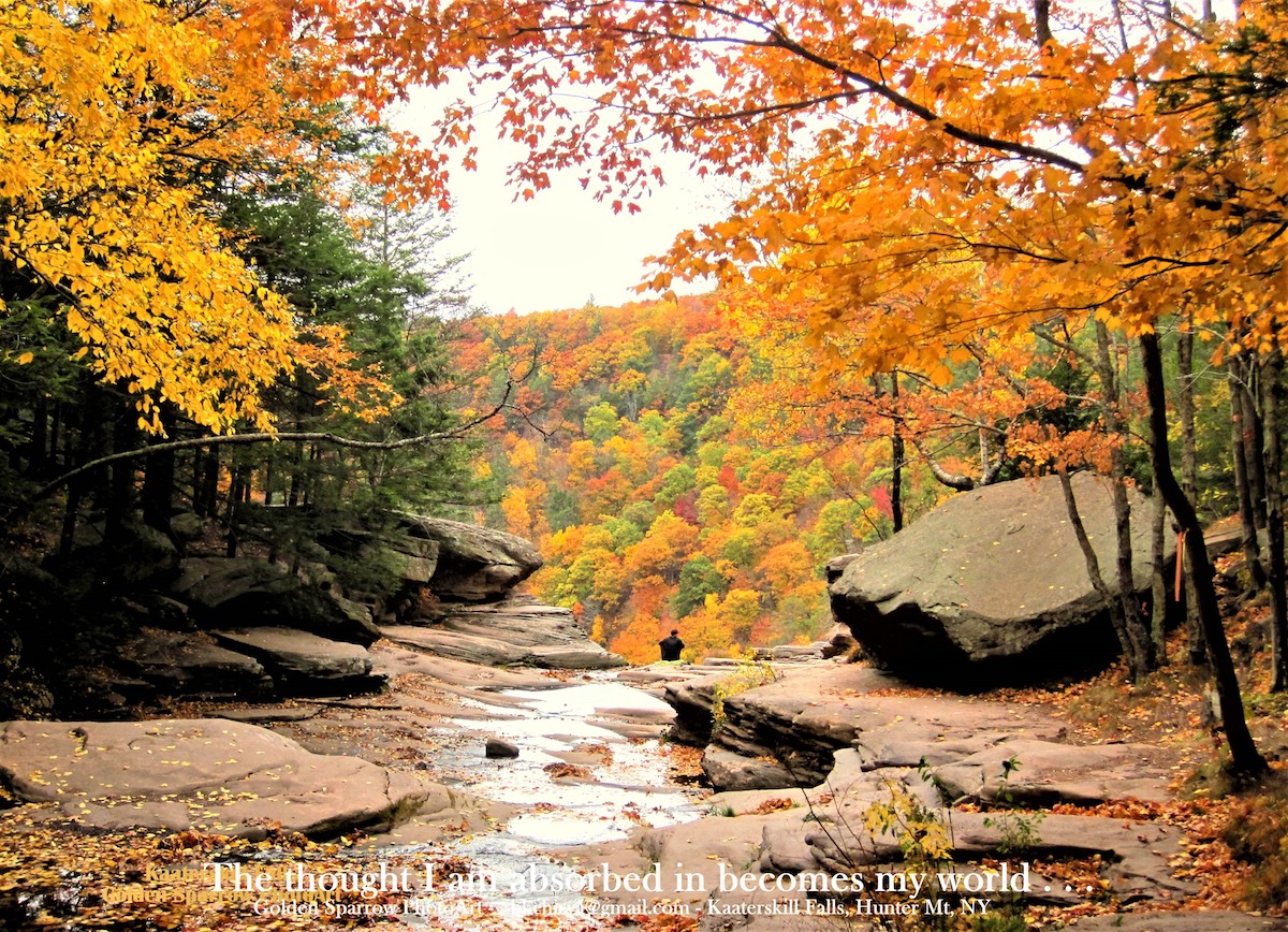 The Glorious Fall - Owego Pennysaver Press