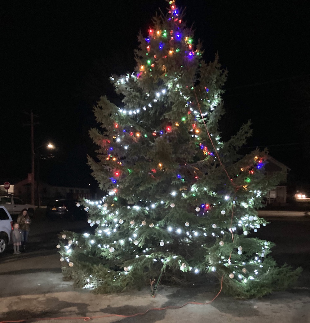Tree honors veterans this holiday season - Owego Pennysaver Press