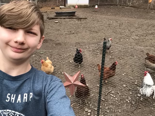 Local FFA member receives grant from Farm Credit - Owego Pennysaver Press