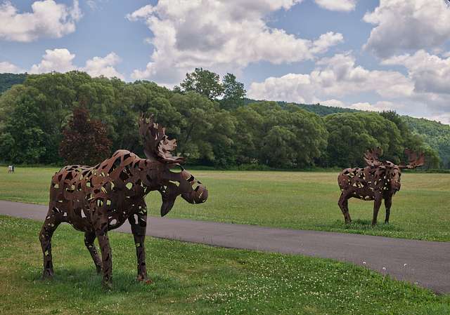 Readers' Column for the week of March 29, 2023 - Owego Pennysaver Press