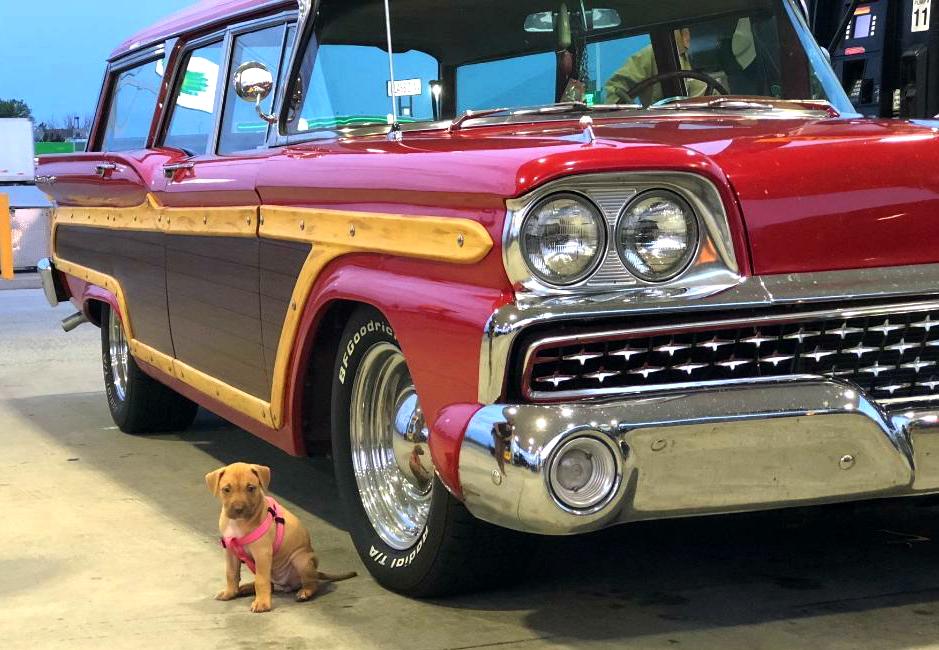 Collector Car/Cars We Remember; Fabulous ’59 Ford Country Squire and ...