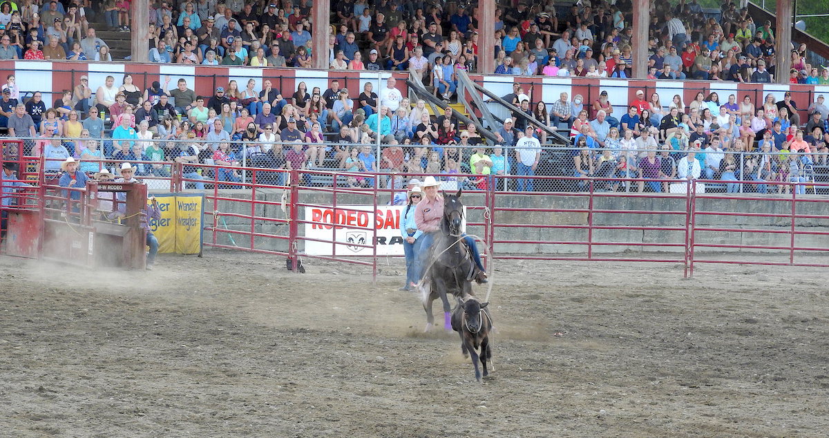 Painted Pony Championship Rodeo coming to the Tioga County Fair - Owego ...