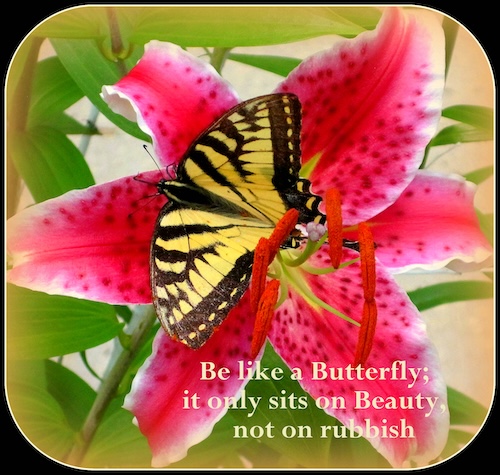 Think before you speak; THINK - Is it True, Helpful, Inspiring ...