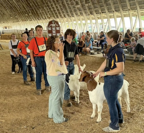 Waverly FFA and 4-H Collaborate at the Tioga County Fair - Owego ...