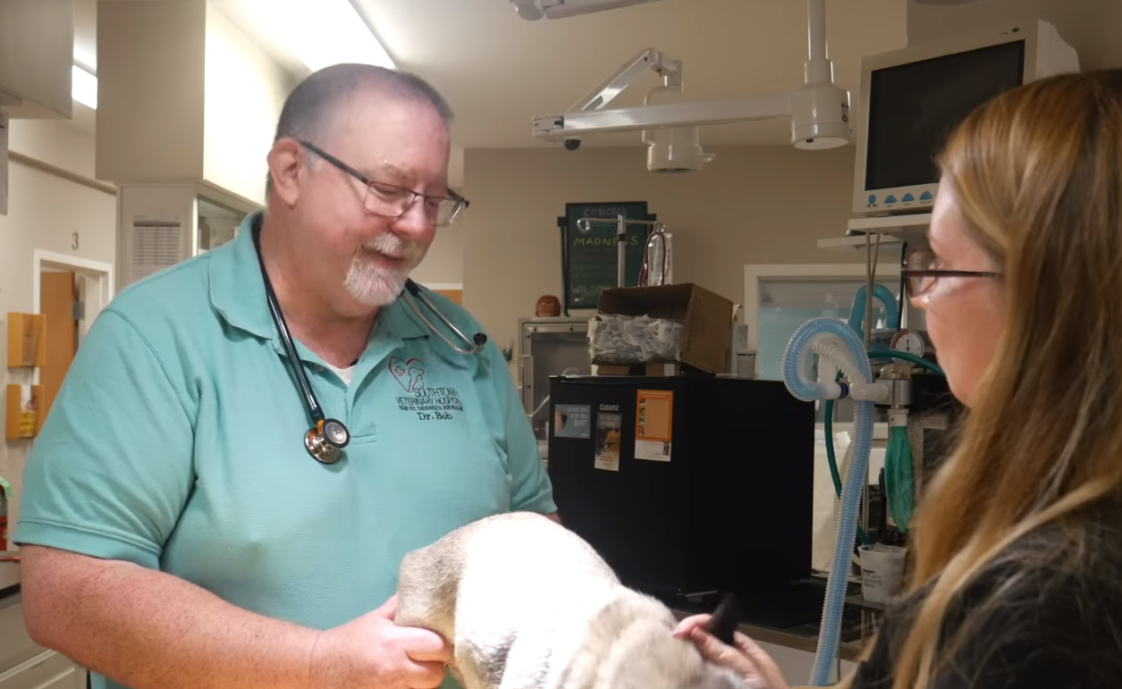 Vet clinic reopening video goes viral - The Susquehanna Independent